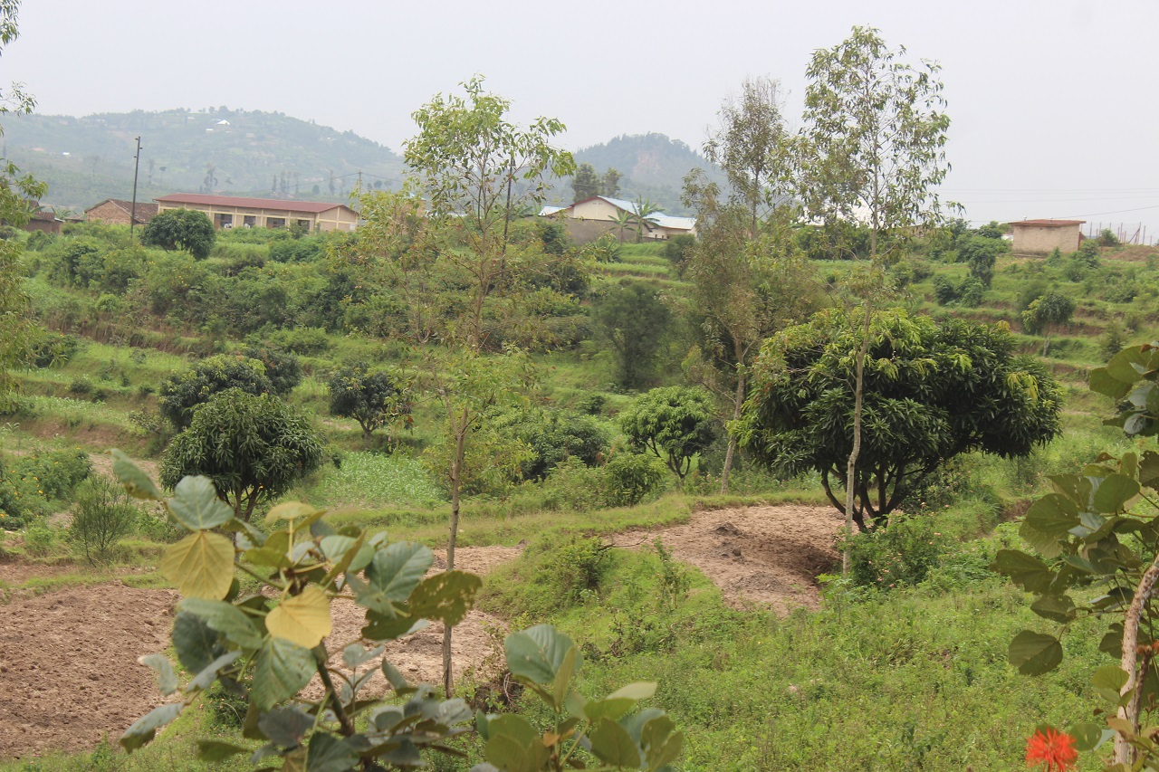 Green Amayaga: Farmers Gain a Lot in Climate Smart Agriculture Training ...